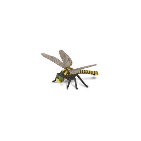 DAM - Figurine de collection - Collecta - Insectes - Libellule